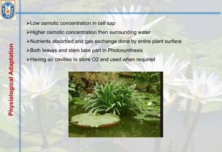 Lecture 1 definition, classification of marine hydrophytes | PPTX