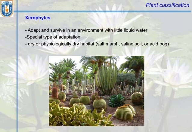 Lecture 1 definition, classification of marine hydrophytes | PPTX