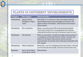 Lecture 1 definition, classification of marine hydrophytes | PPTX