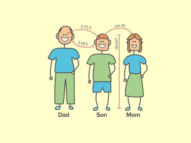 Definition of Genetics, Heredity and variation | PPT | Biological ...