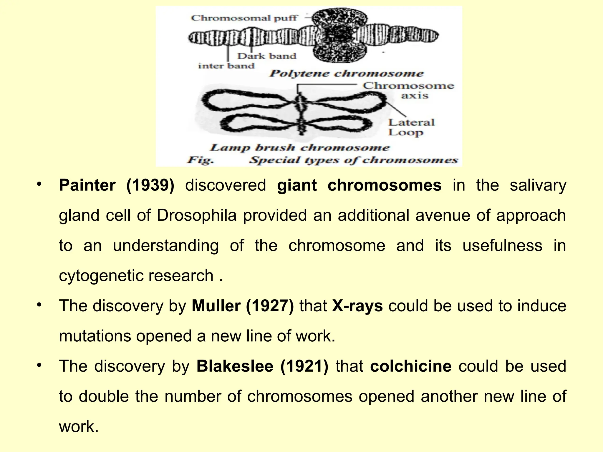 lecture 1 _ Definition of genetics, heredity, inheritance, cytology ...
