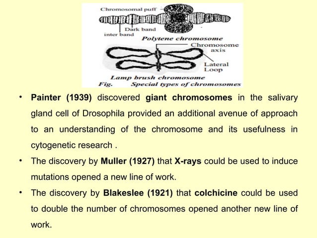 lecture 1 _ Definition of genetics, heredity, inheritance, cytology ...
