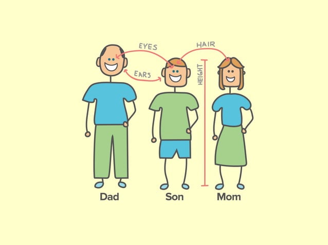 lecture 1 _ Definition of genetics, heredity, inheritance, cytology ...