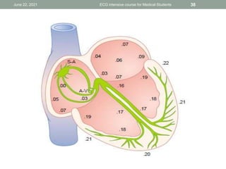 Lecture 1 of ECG basics | PPTX