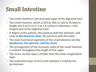 Lecture 1 elementary system | PPT