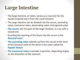 Lecture 1 elementary system | PPTX