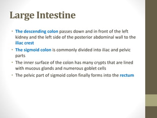 Lecture 1 elementary system | PPT