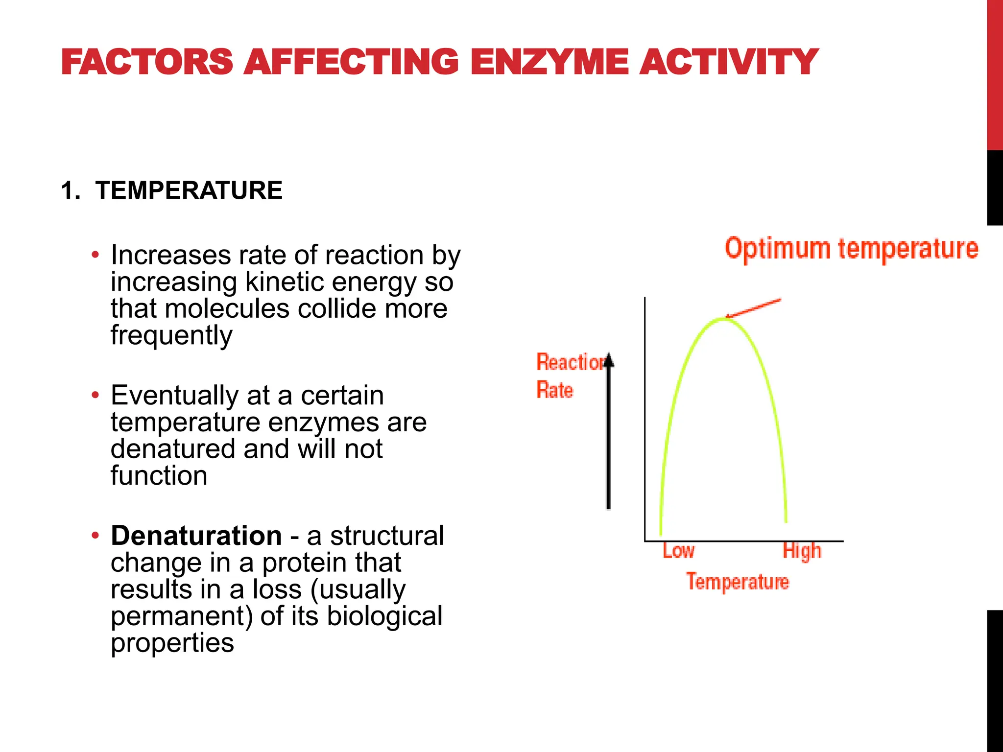 Enzymes Lecture For First Year Medicine student | PPT