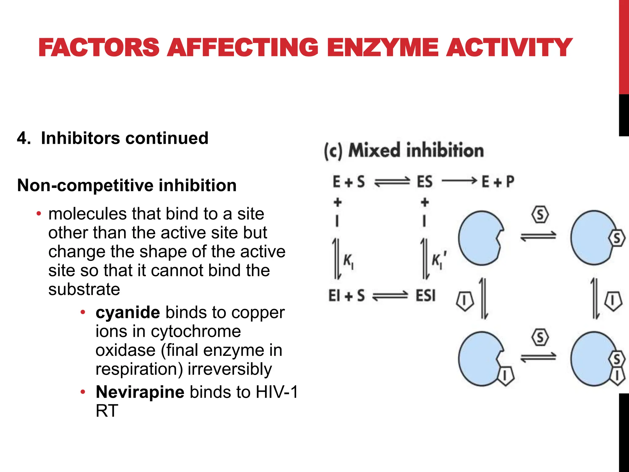 Enzymes Lecture For First Year Medicine student | PPT