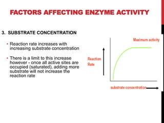 Enzymes Lecture For First Year Medicine student | PPT