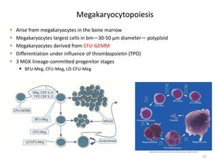Lecture 1, fall 2014 | PDF