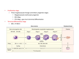 Lecture 1, fall 2014 | PDF