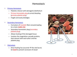 Lecture 1, fall 2014 | PDF