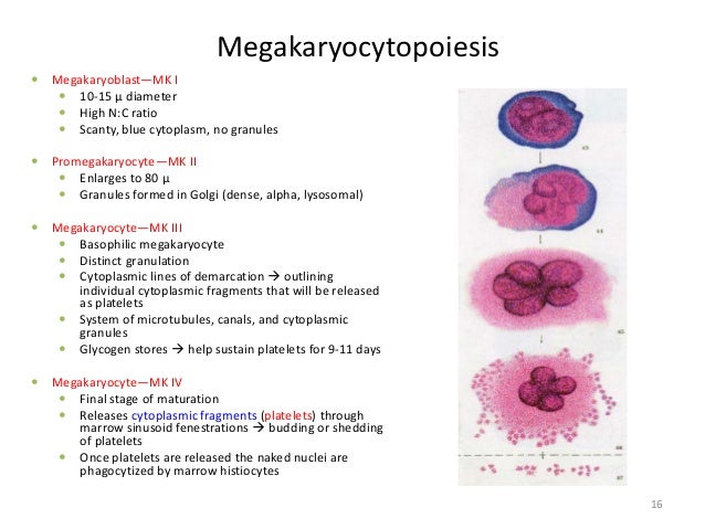 Lecture 1, fall 2014