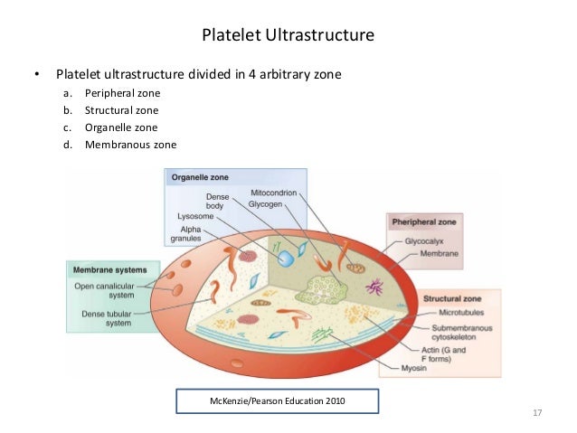Lecture 1, fall 2014