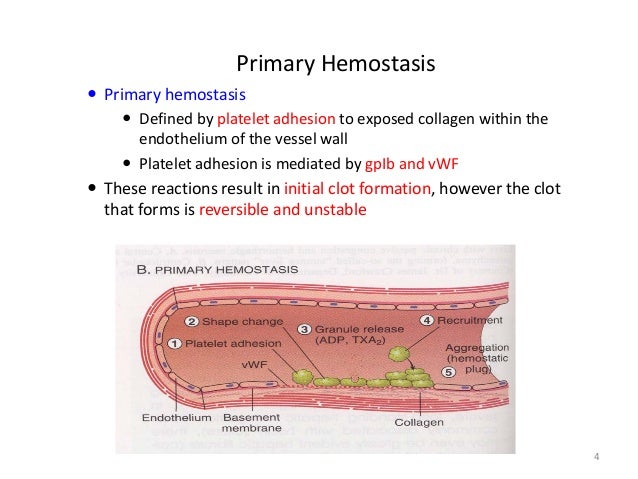 Lecture 1, fall 2014