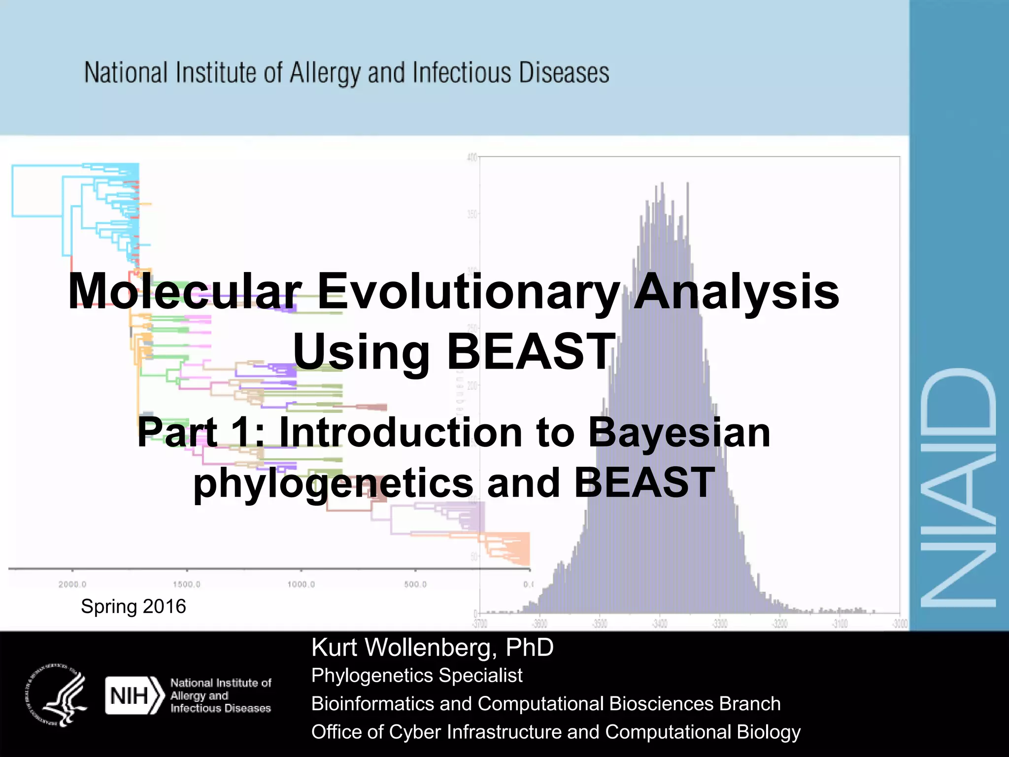 Introduction to Bayesian phylogenetics and BEAST | PPT