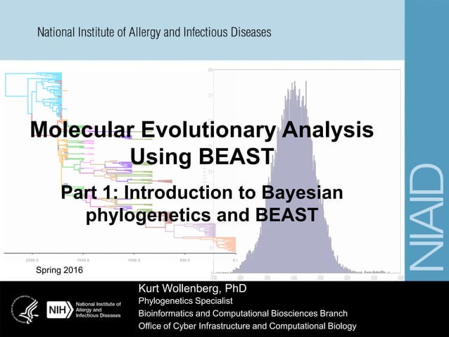 Introduction to Bayesian phylogenetics and BEAST | PPT