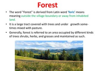 Introduction to forestry | PPTX