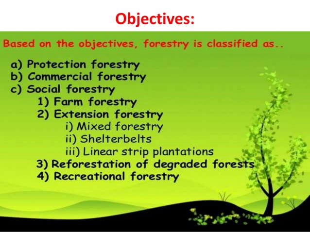 Introduction to forestry | PPTX