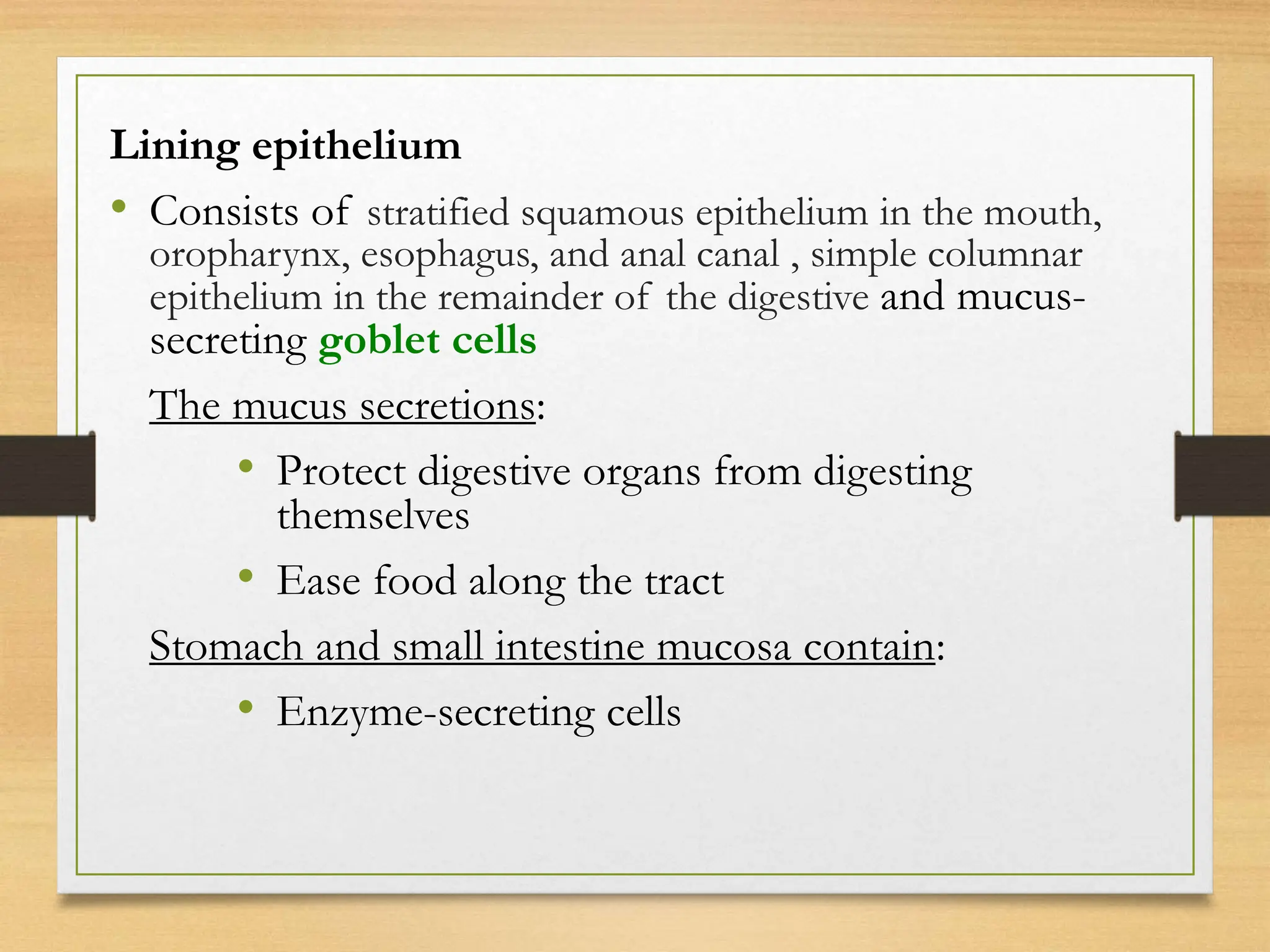 Lecture 1 Gitpptx Gastrointestinal System And Its Functions Structure Parts And All Ppt 6635