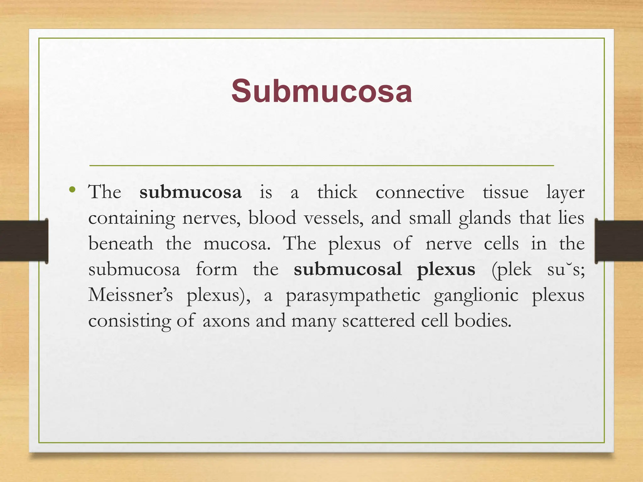LECTURE 1 git.pptx gastrointestinal system and its functions structure ...