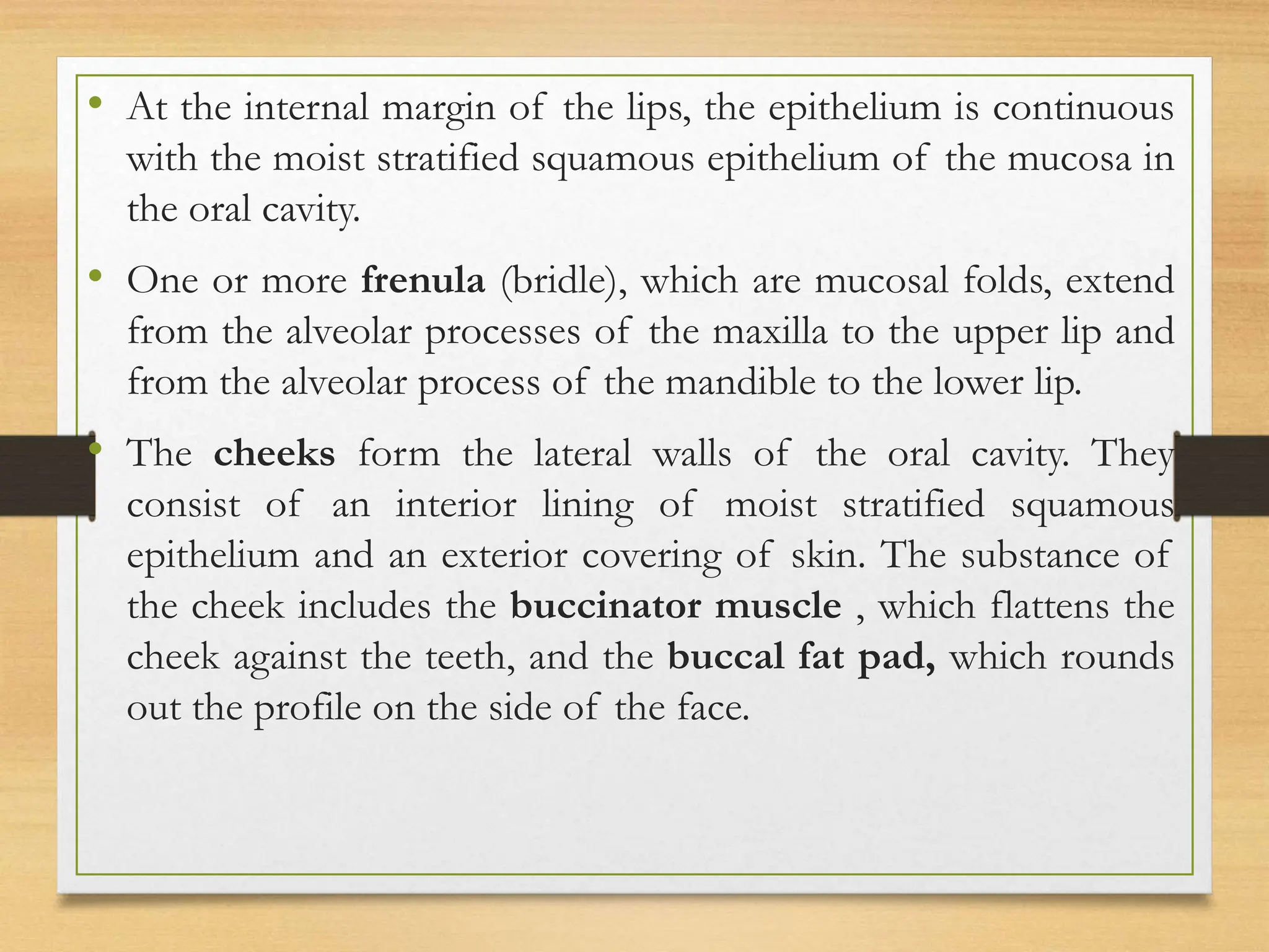 LECTURE 1 git.pptx gastrointestinal system and its functions structure ...