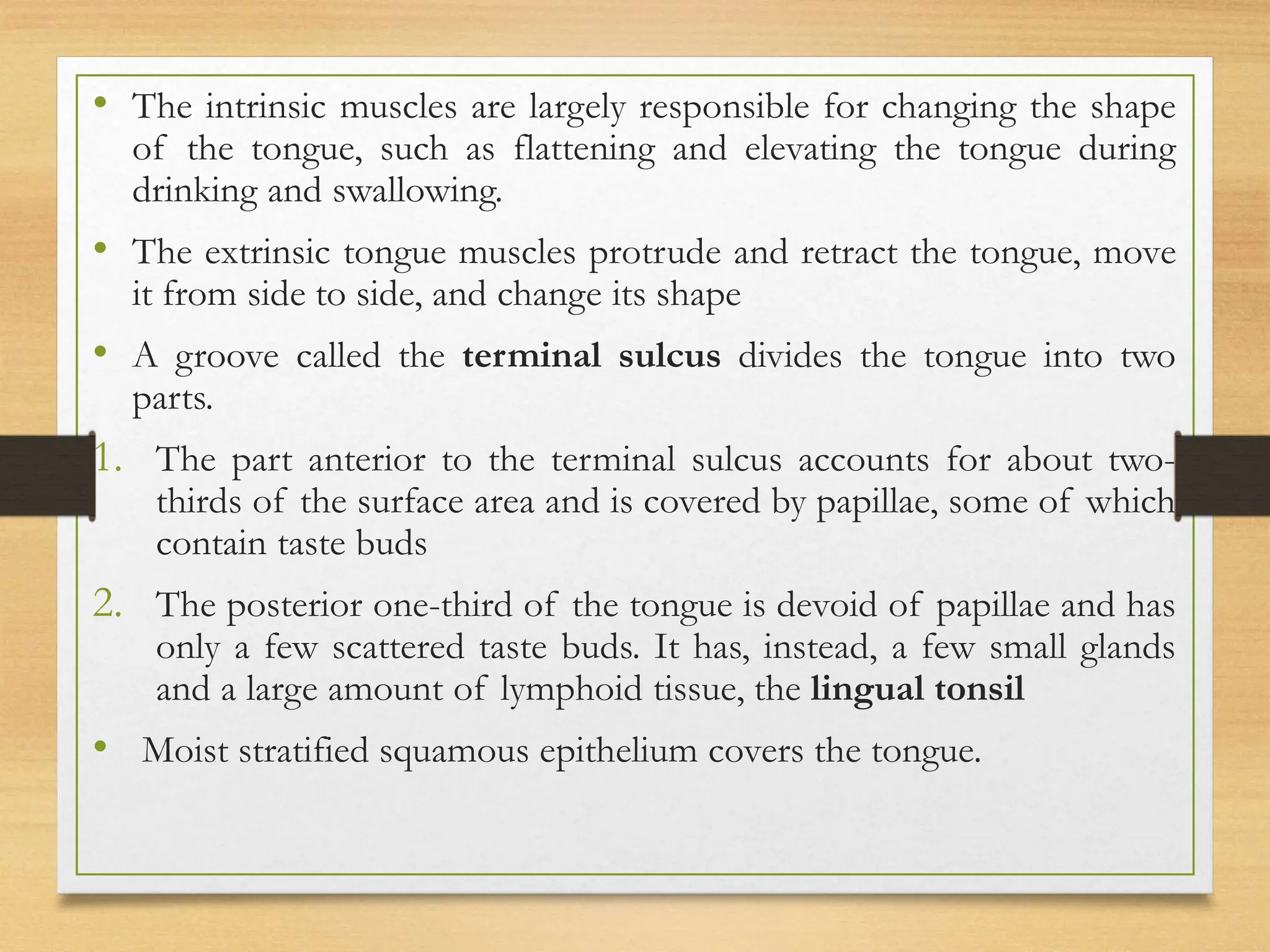 LECTURE 1 git.pptx gastrointestinal system and its functions structure ...