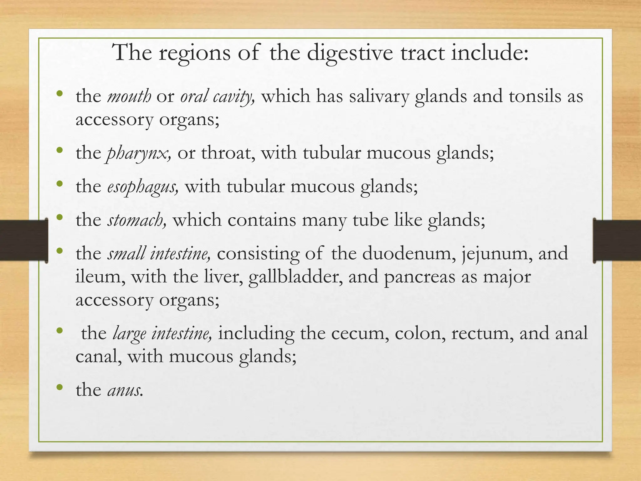 LECTURE 1 git.pptx gastrointestinal system and its functions structure ...