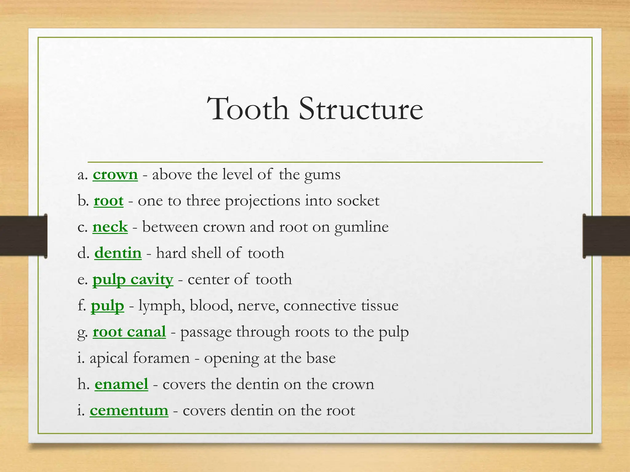LECTURE 1 git.pptx gastrointestinal system and its functions structure ...