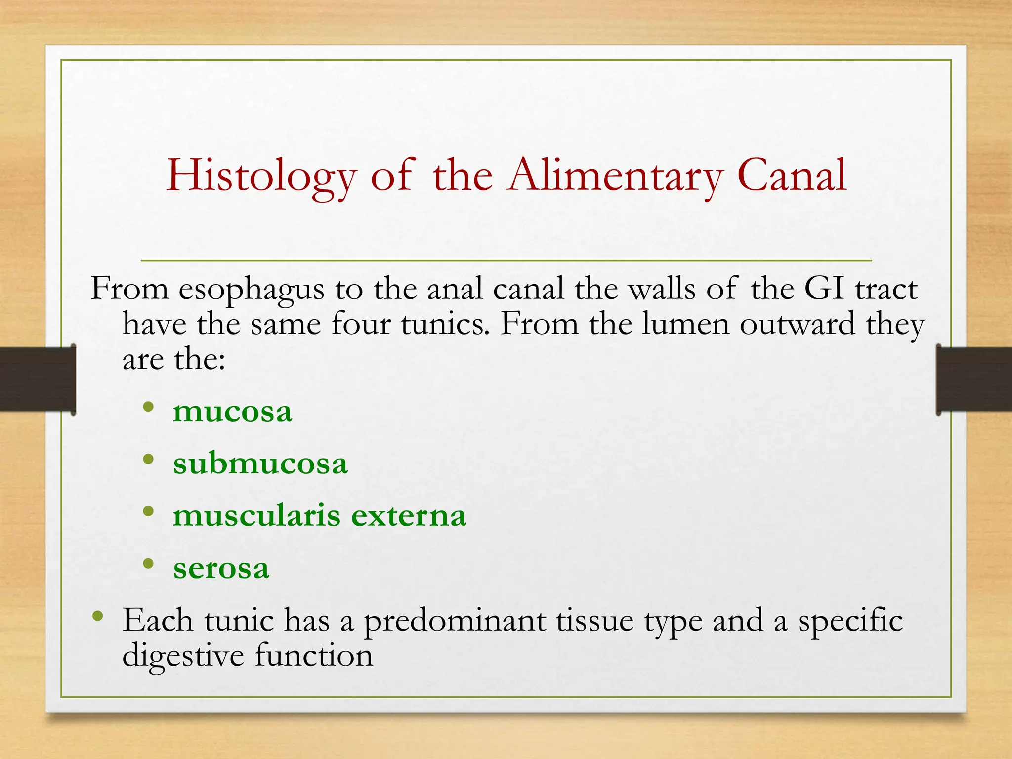 LECTURE 1 git.pptx gastrointestinal system and its functions structure ...