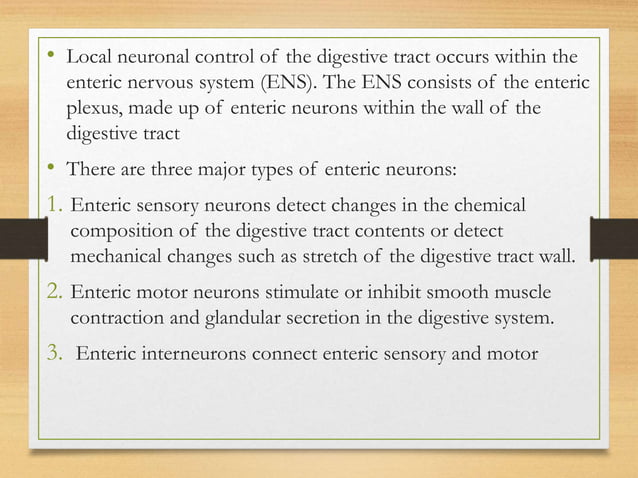 LECTURE 1 git.pptx gastrointestinal system and its functions structure ...