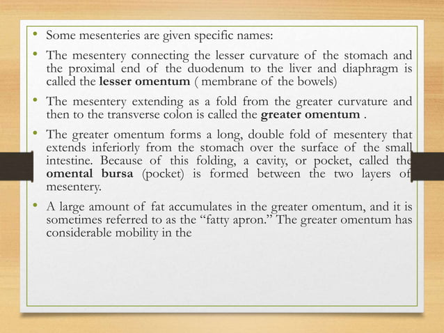 LECTURE 1 git.pptx gastrointestinal system and its functions structure ...