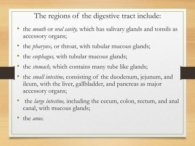 LECTURE 1 git.pptx gastrointestinal system and its functions structure ...