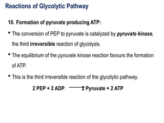 Lecture 1 Glycolysis.pptx. . | PPTX | Chemistry | Science