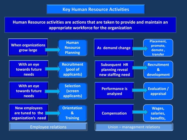 HRM framework by Mahmood Qasim | PPT