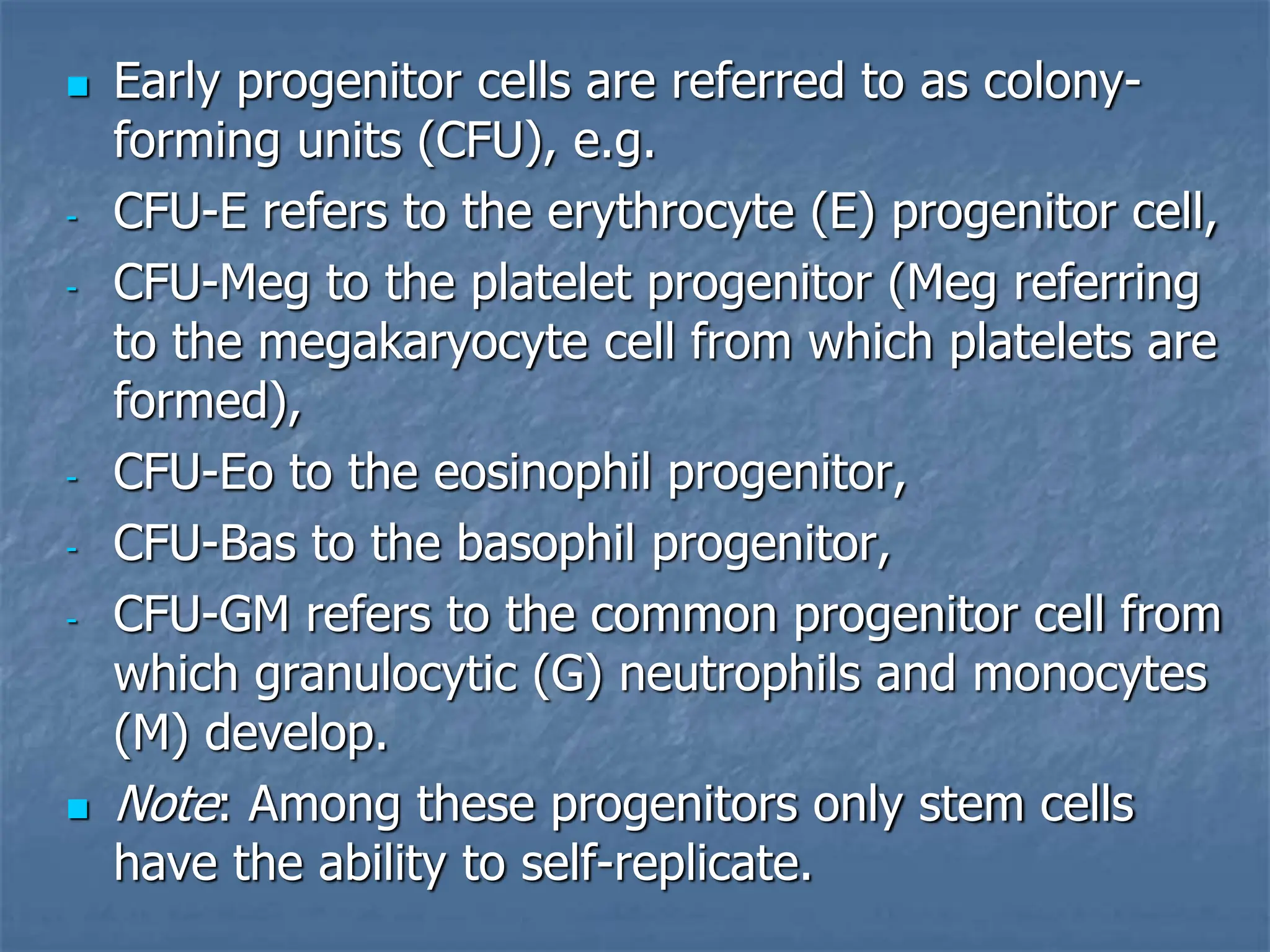 Lecture 1 Haemopoiesis synthesis of the blood cells.ppt