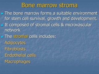 Lecture 1 Haemopoiesis synthesis of the blood cells.ppt