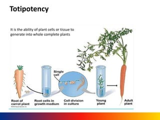 LECTURE 1 History and concept.pdf