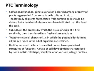 LECTURE 1 History and concept.pdf