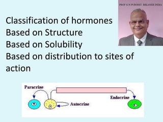 Lecture 1 hormones basics | PDF