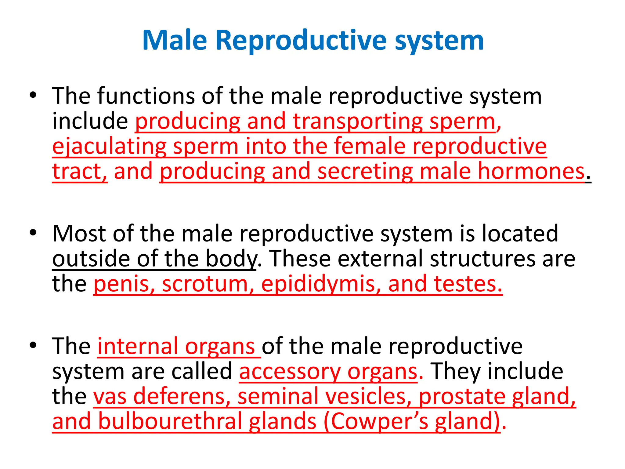 LECTURE 1 Human Reproductive System.pptx