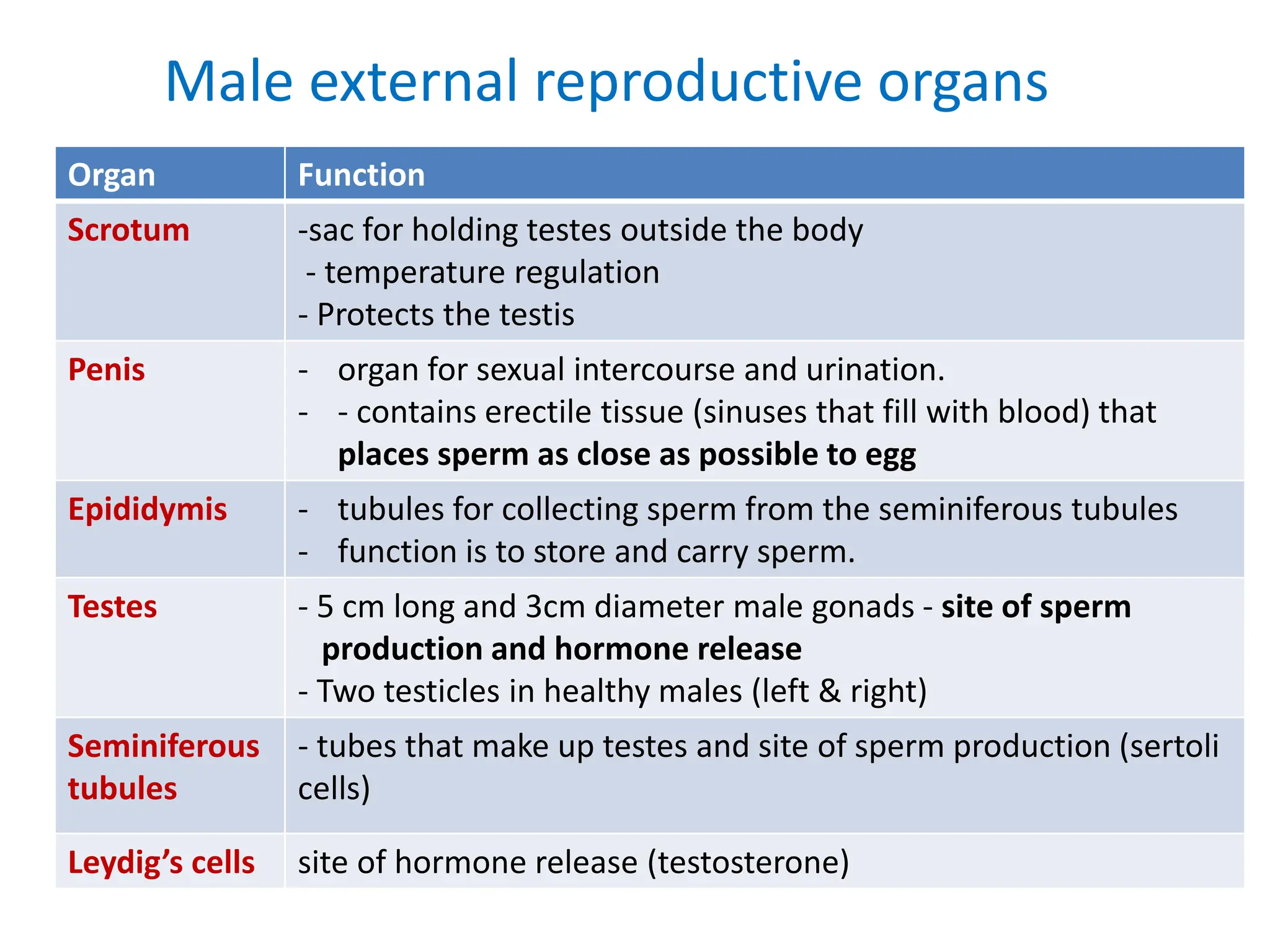 LECTURE 1 Human Reproductive System.pptx