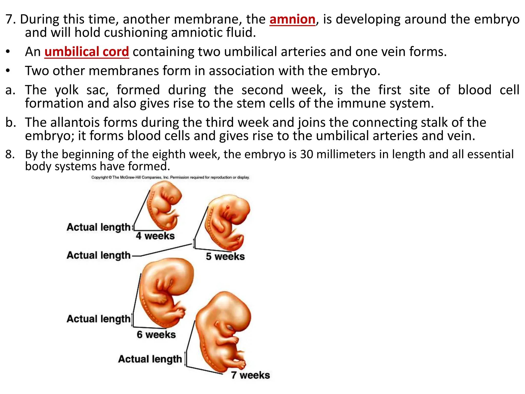 LECTURE 1 Human Reproductive System.pptx