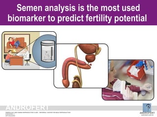 Interpreting Semen Analysis Results | PDF