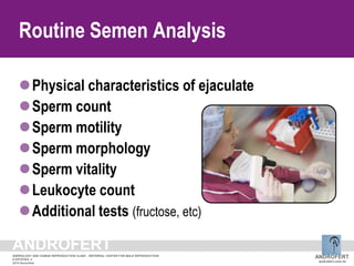 Interpreting Semen Analysis Results | PPT