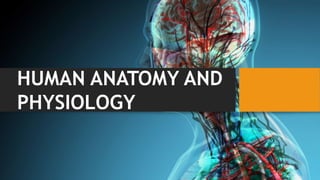 human anatomy lecture 1 intro | PPT