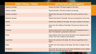 human anatomy lecture 1 intro | PPTX