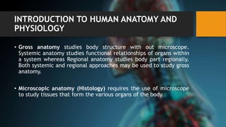 human anatomy lecture 1 intro | PPTX