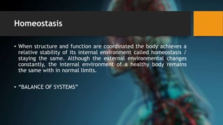 human anatomy lecture 1 intro | PPTX